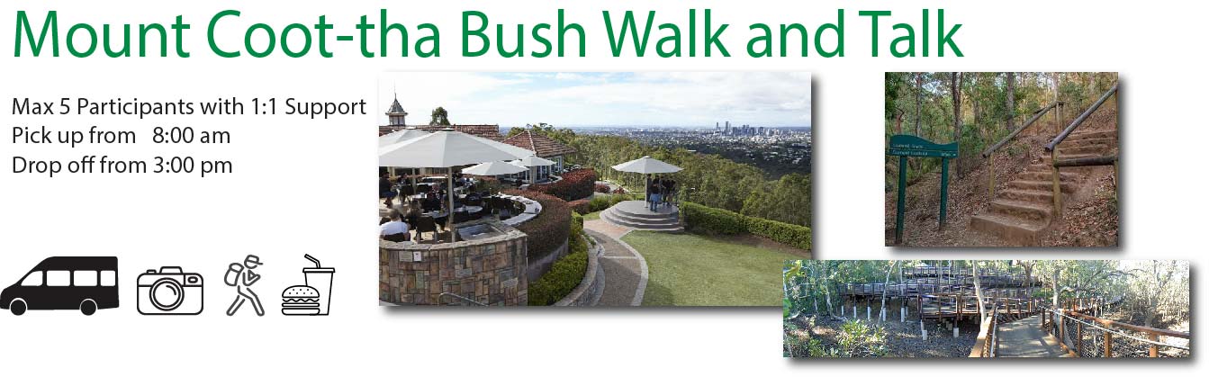 Mount Coot-tha Bush Walk and Talk - Lagunas